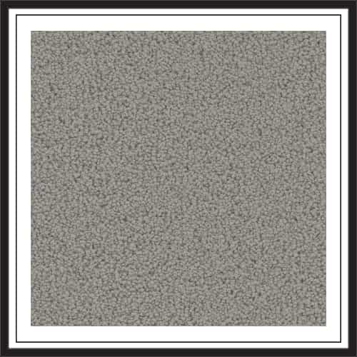 What Is the Best Brand of Carpet to Buy?